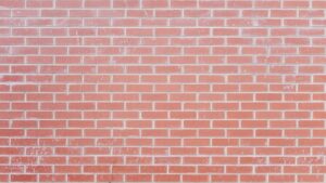 12 Best Exercises for Lower Back Pain - Healthcare Worker Fitness